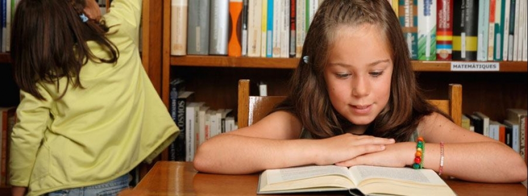 Fish Creek Library - Visit Fish Creek