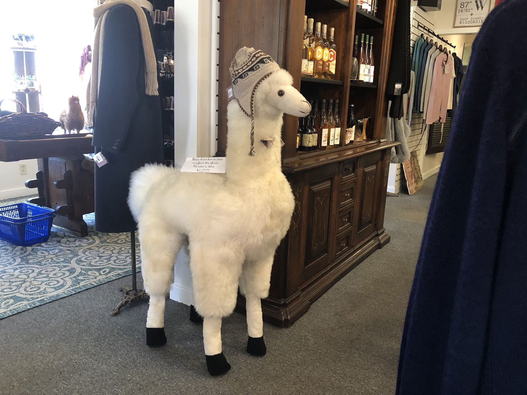 Alpaca to Apparel - Visit Fish Creek